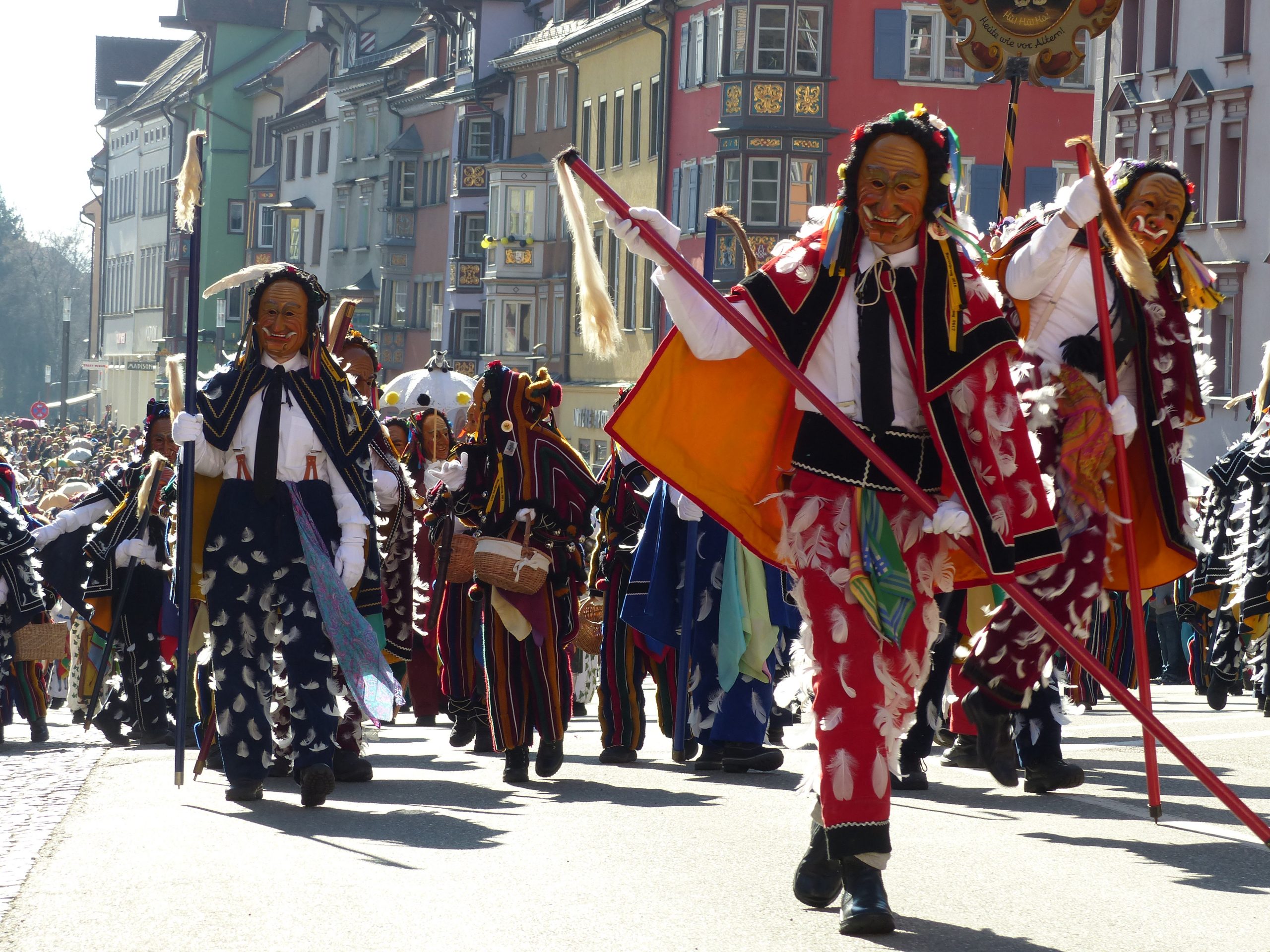 Photo Gallery - Codanec