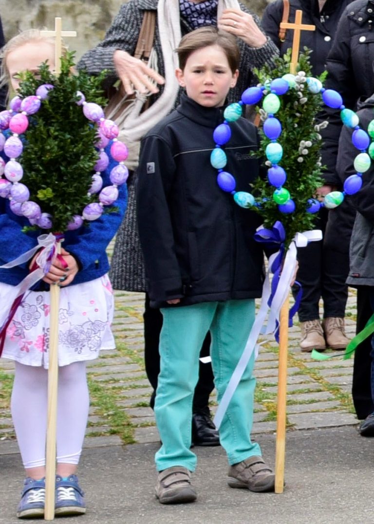 Collection Gallery of all Contributions - Codanec