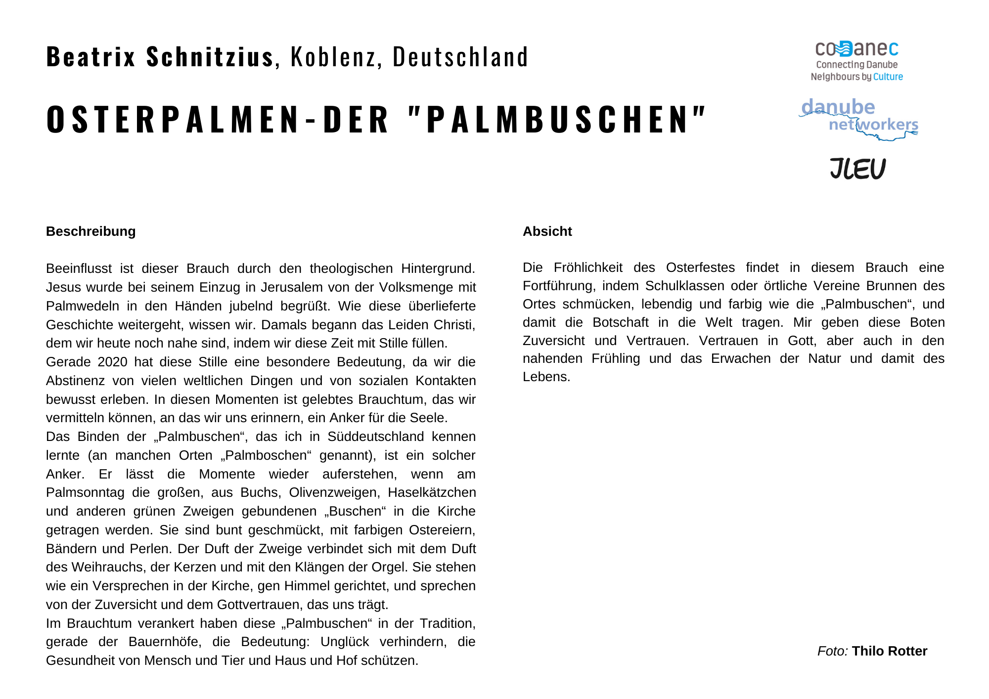 Photo Exhibition & Competition Gallery - Codanec